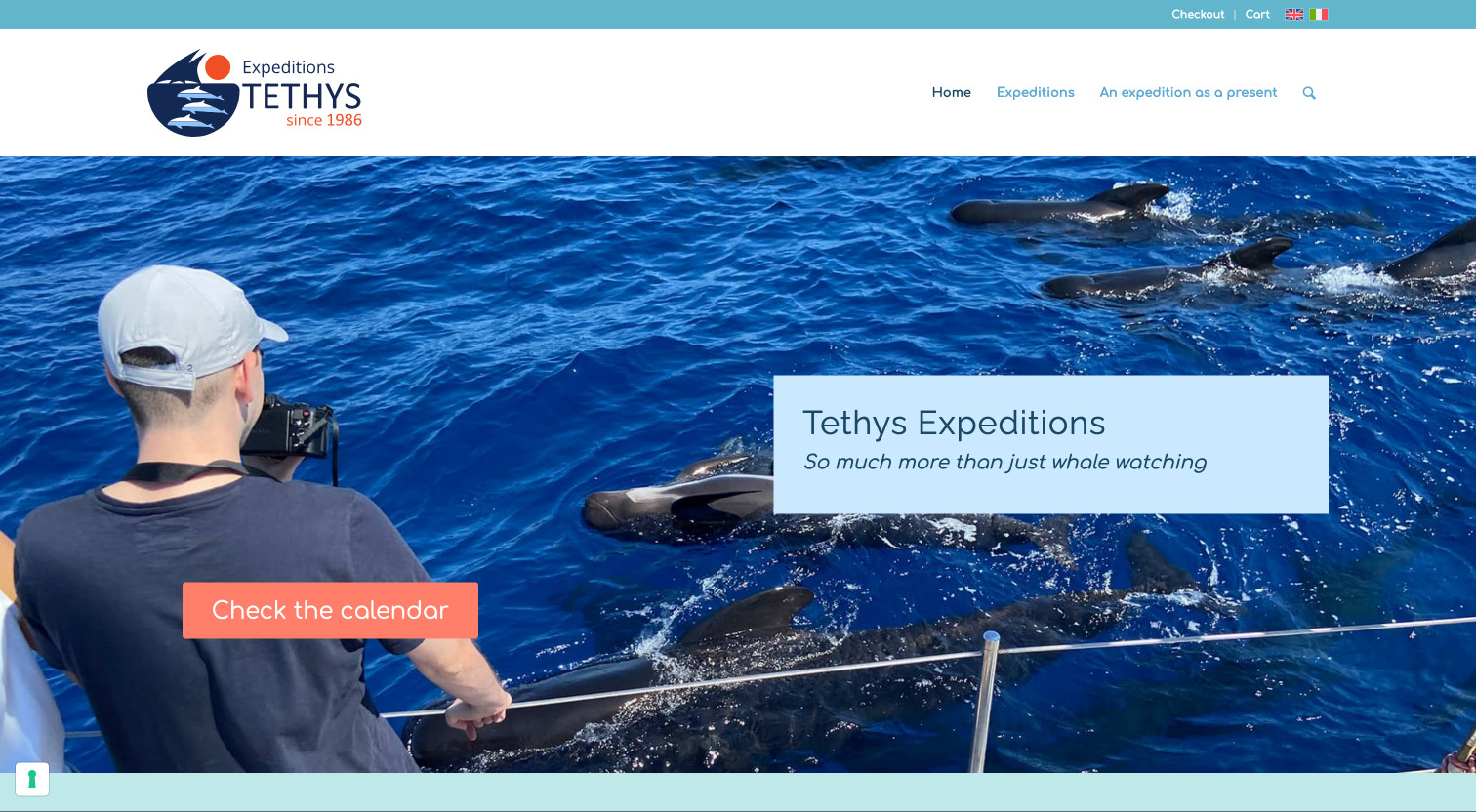 Ionian Dolphin Project - Calendar and Fees - Tethys Research Institute ...